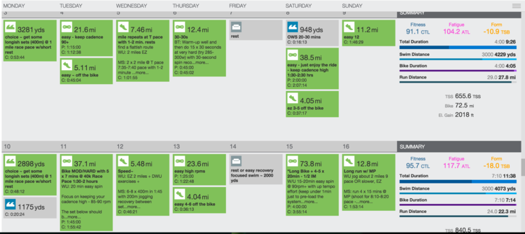 Sample Marathon Training Plan | Coach Karen’s Proven 16-Week Guide